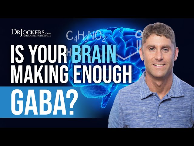 Understanding GABA: The Brain's Essential Neurotransmitter | Galaxy.ai ...