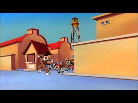 Animaniacs | Wiki | Movies & TV Amino