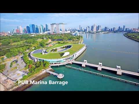 BSG Landscape & Construction Pte Ltd