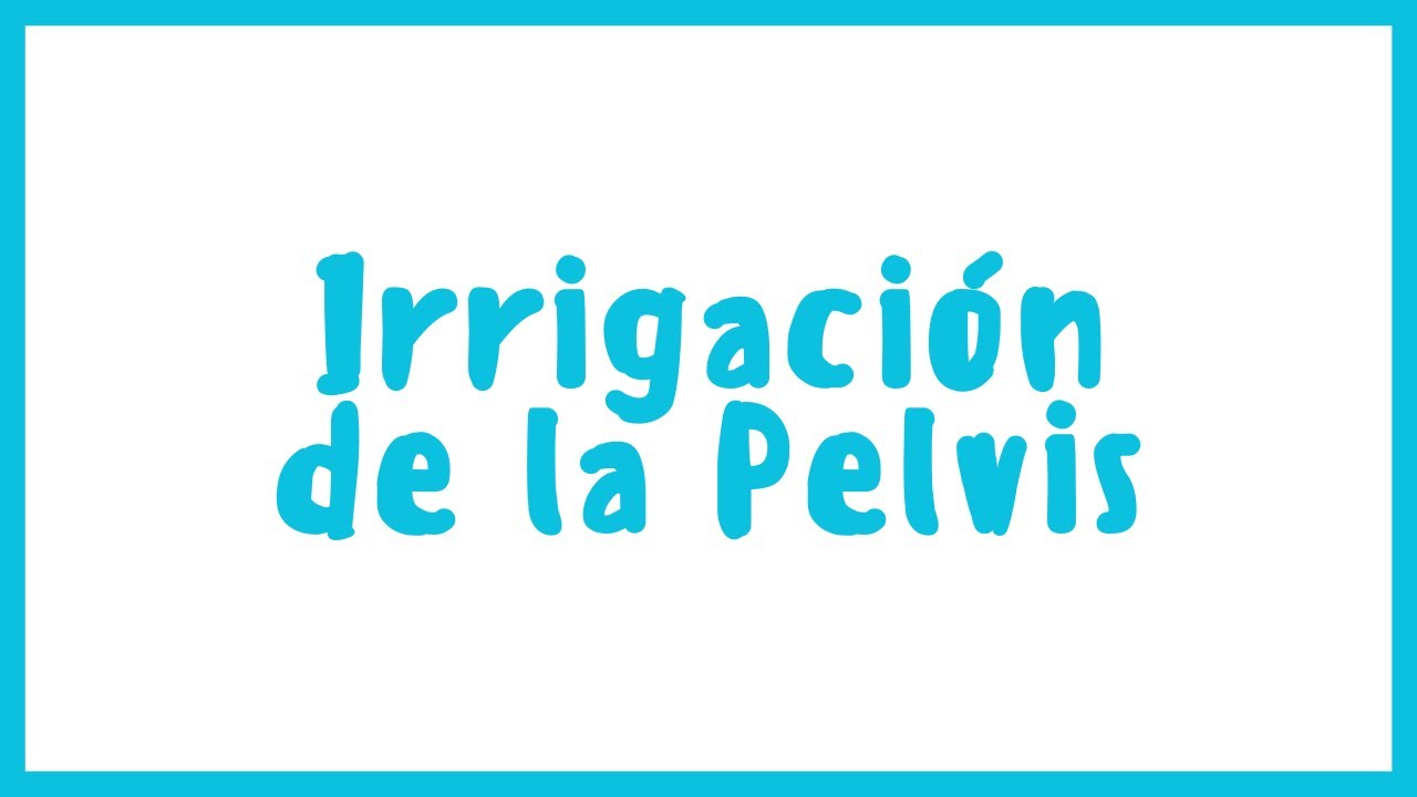 ANATOMIA | Irrigación de la pelvis, periné | Blasto Med