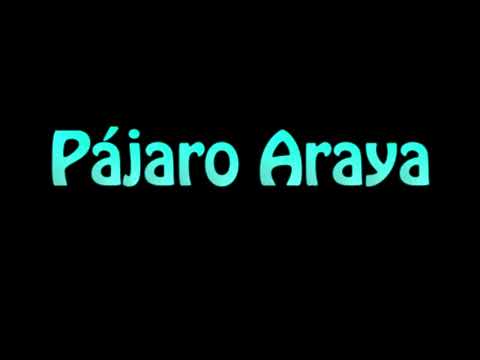 Learn How To Pronounce Pajaro Araya