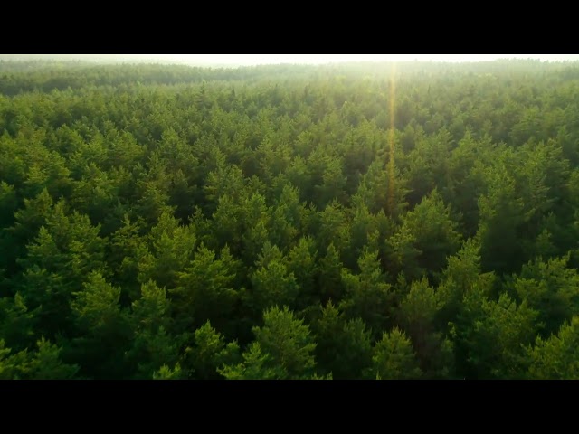 LPA Lighting: Innovative Lighting Solution In Australia & UK