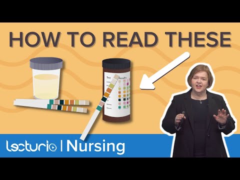 Urine Dipstick Color Codes Explained – Med-Surg Nursing | Lecturio Nursing