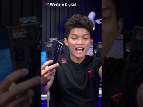 Giải pháp SSD siêu bền - giá rẻ là đây! Đánh giá WD SN770
