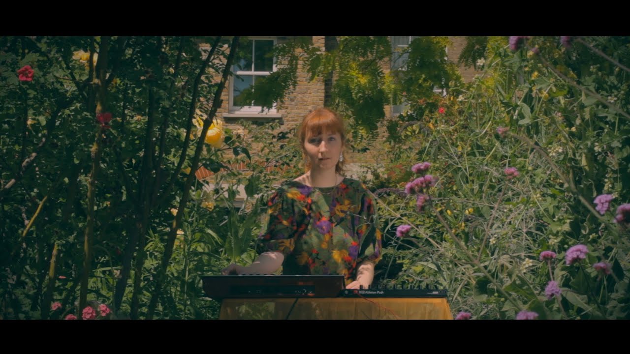 Blue Loop - North (live)