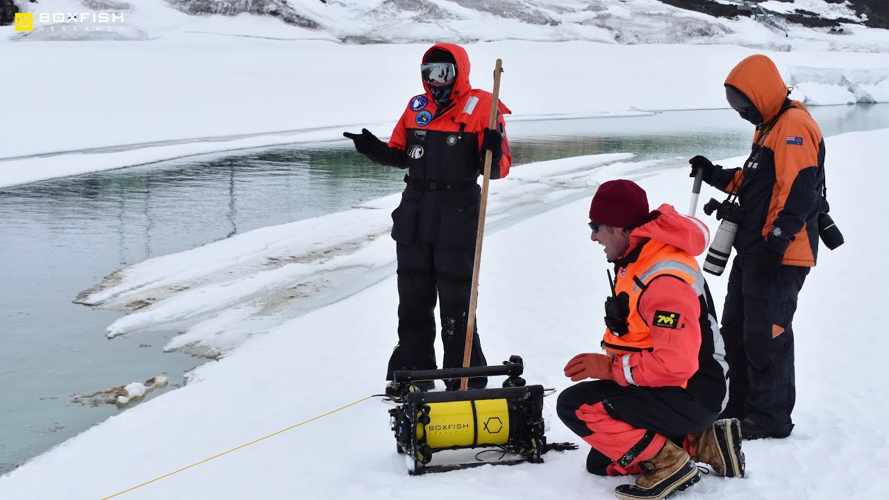 Inspection with the Boxfish ROV