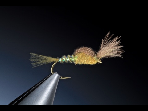 The CdC GP mayfly Emerger