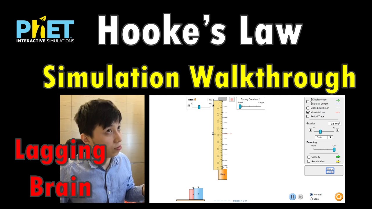 Hooke's Law Simulation Walkthrough | PhET Virtual Lab Explained
