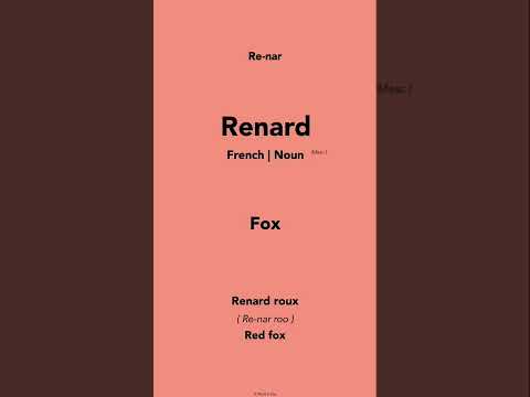 Renard | French