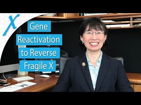 Can Medications Reactivate the FMR1 Gene to Reverse Fragile X?
