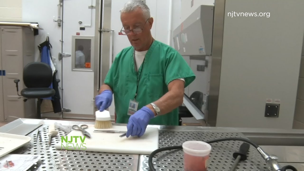 NJ Animal Health Diagnostic Lab receives coveted national accreditation