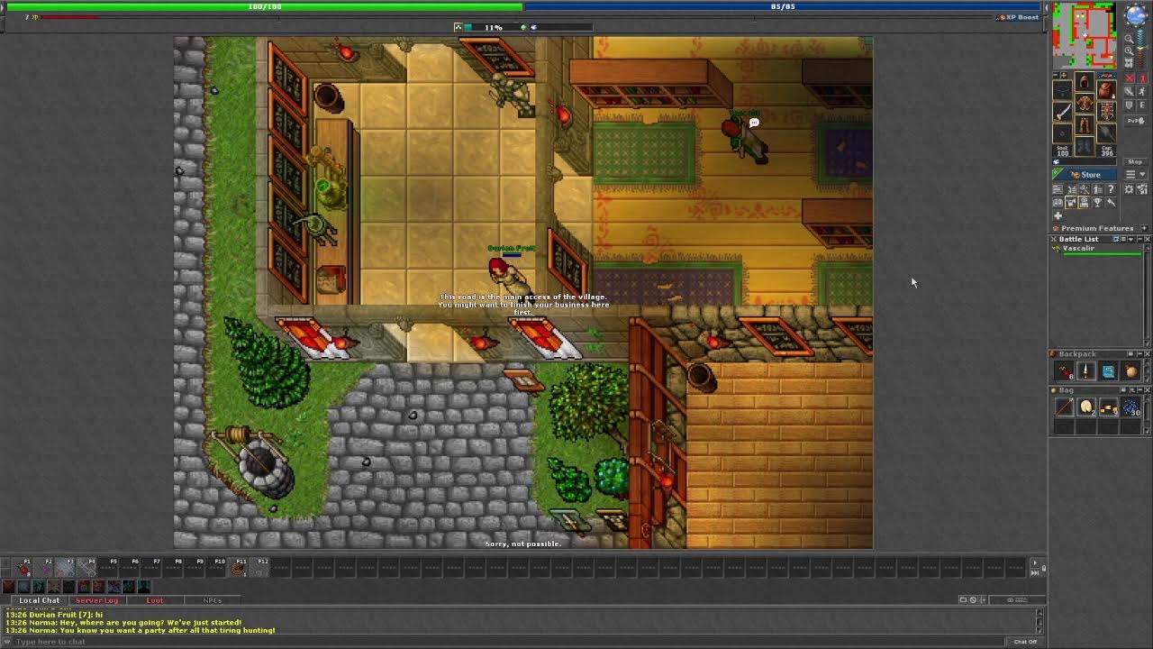 Tibia - On Rock - Part 2