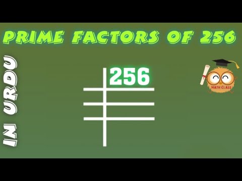 Prime Factors of 256 - Prime Factorization