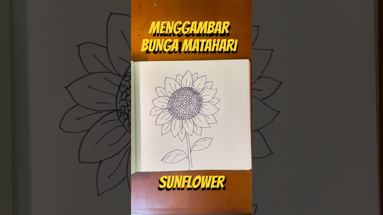 Cara menggambar bunga matahari (how to draw a sunflower) #drawing #art #short #kids