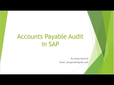 Accounts Payable Audit in SAP