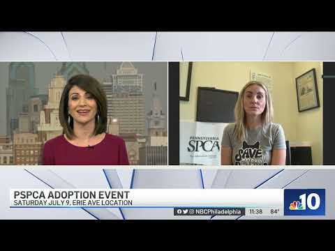 Pa. SPCA Hopes Large Adoption Event Helps Finds Pets Home