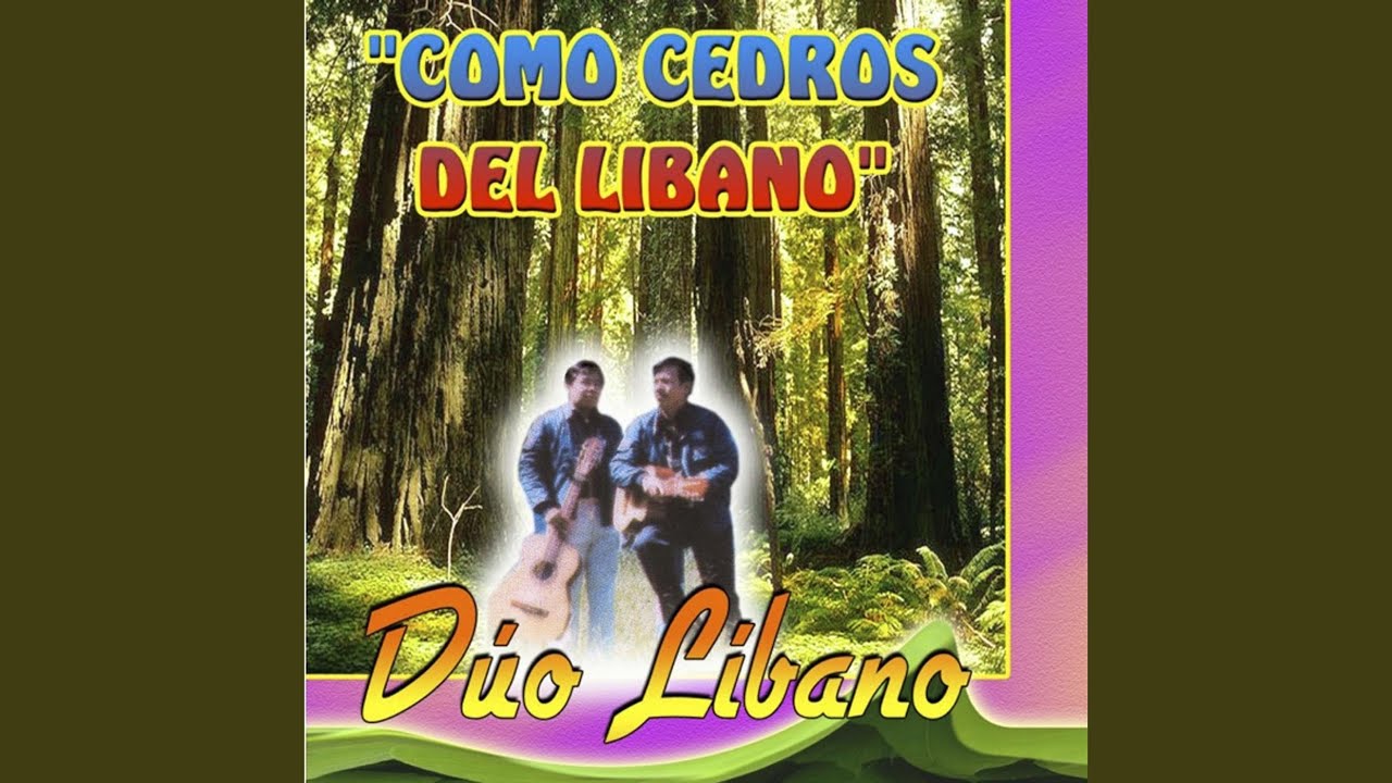 Cuando Termine Mi Carrera
