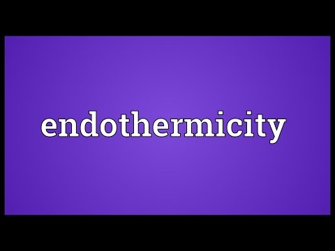 Endothermicity Meaning