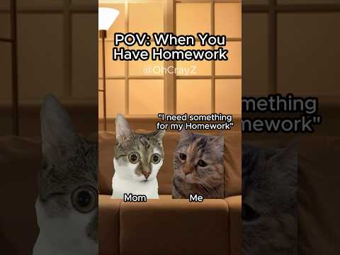 CAT MEMES 🐱 WHEN YOU HAVE HOMEWORK #relatable #cat #funny #family #shorts