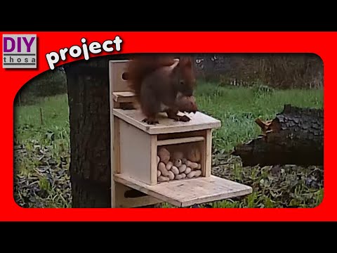Squirrel Feeder - Eichhörnchen Futterbox