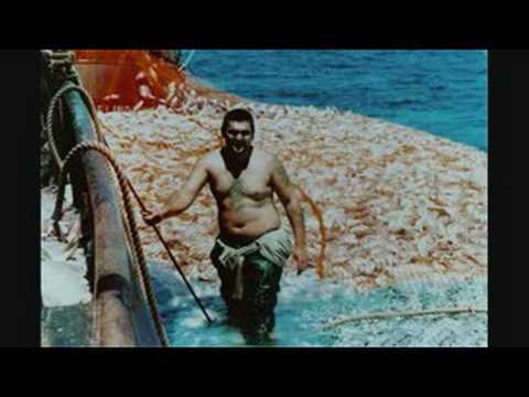 Fishing: Who Does the Most Damage?