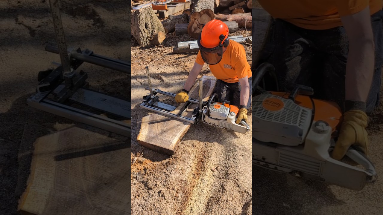 black walnut log in real time!