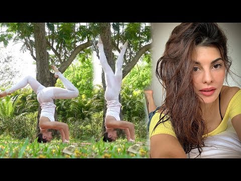 Jacqueline Fernandez HOT Yoga Workout | Hot And Sexy Jacqueline Fernandez