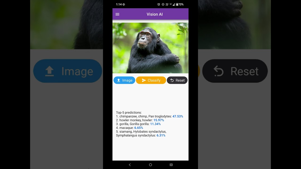 Google SpeciesNet on Mobile Phone | Offline AI using Python Onnx Runtime