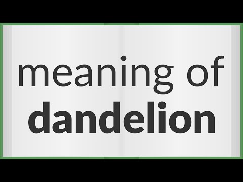 Dandelion | meaning of Dandelion