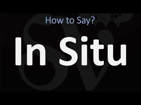 How to Pronounce In Situ? (CORRECTLY)