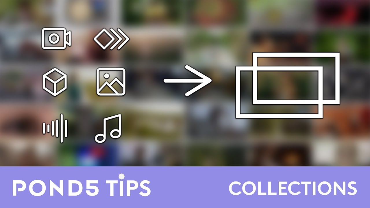 Pond5 Tips - Using Collections