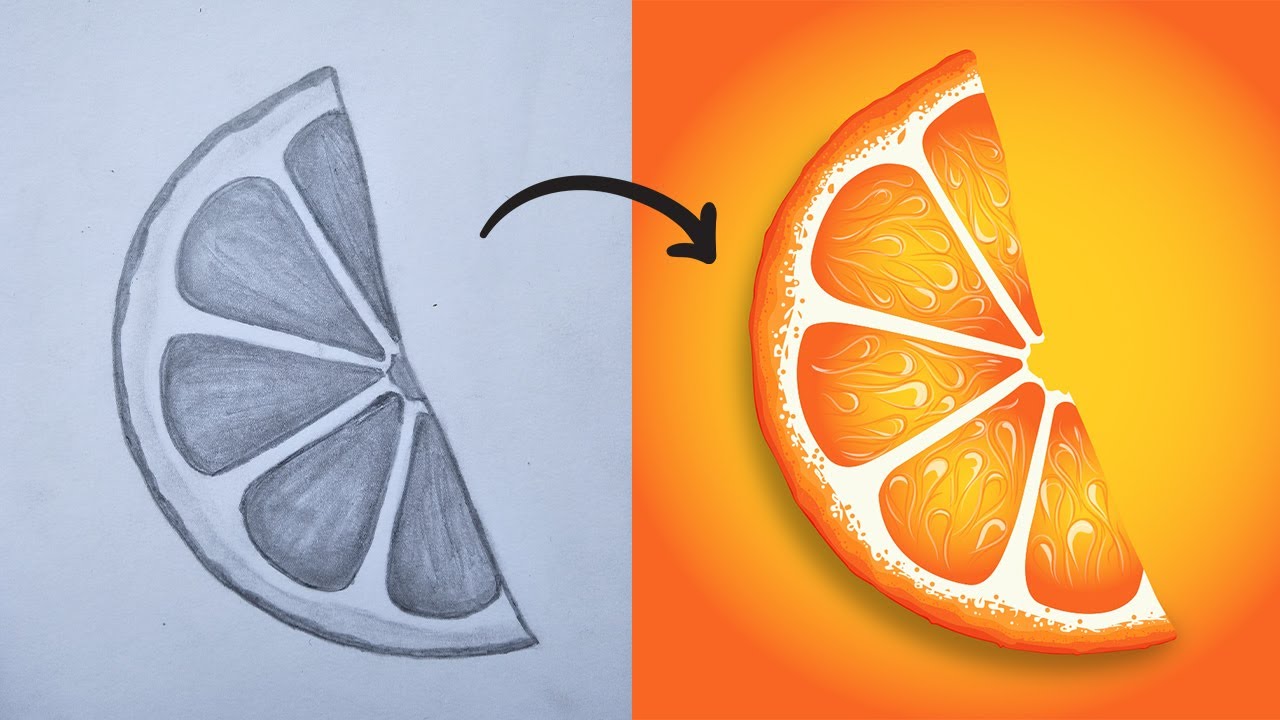 How to create a vector from a sketch, realistic orange | Adobe illustrator tutorial for beginners
