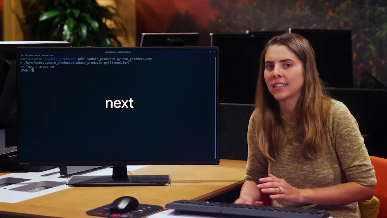 Debugging a Python Crash - Troubleshooting and Debugging Techniques