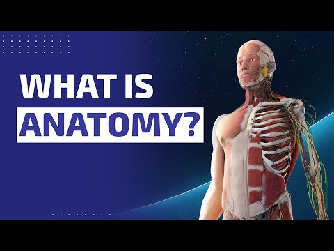 What is Anatomy?