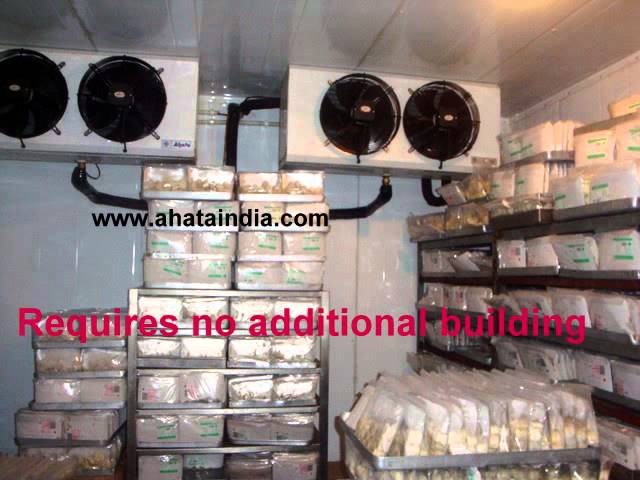 Cold Storage Plant Manufacturer from New Delhi