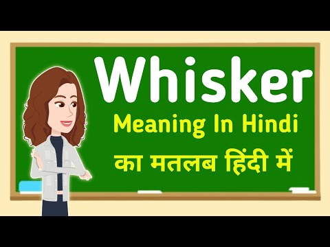 Whisker meaning in hindi || Whisker का मतलब हिंदी में