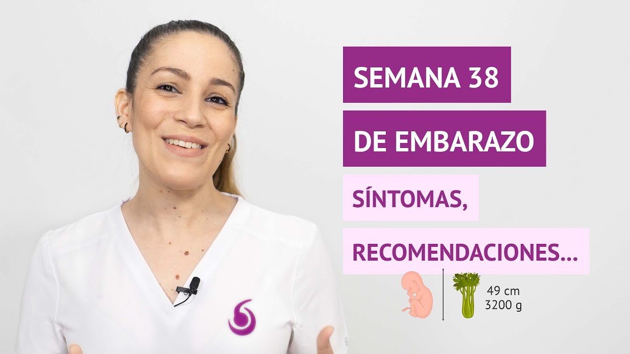 ¿Cómo es el bebé en la semana 38 de embarazo 🤰? ¿Qué cambios hay?