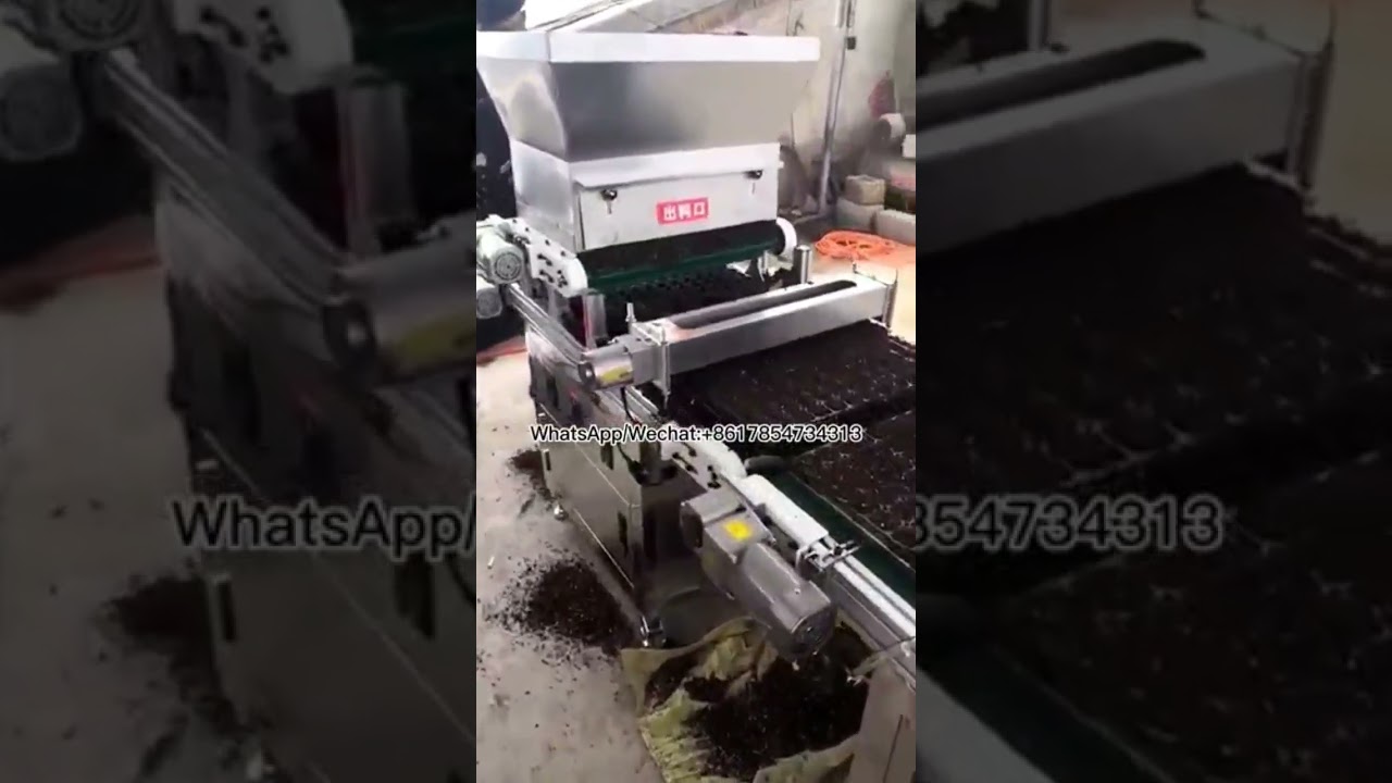 Brussels sprouts seed planter, automatic seedling raising machine