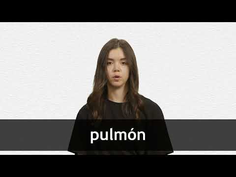 Traducción en inglés de “PULMÓN” | Collins Diccionario español-inglés