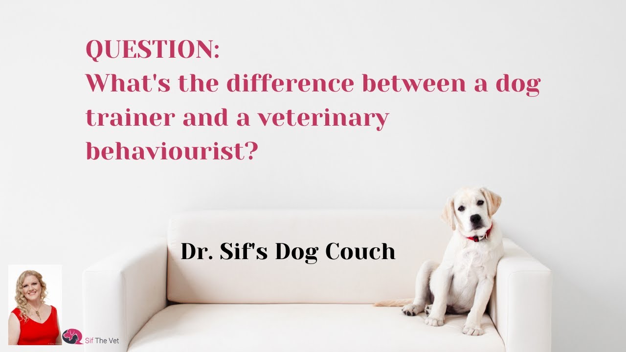 The difference between a dog trainer and a veterinary behaviourist explained