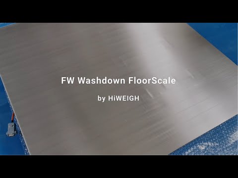 FW SUS304 Washdown Floor Scale | HiWEIGH