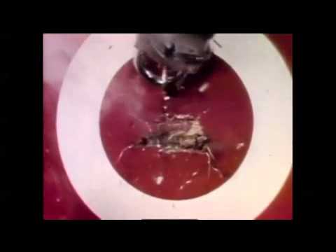 The Best Super Bowl Commercials of All Time - 50+ of the Most Popular ...