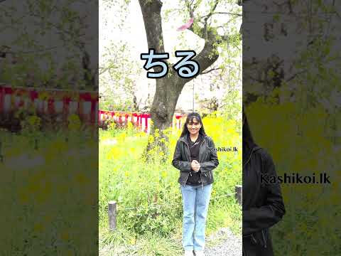 Verbs in Japanese