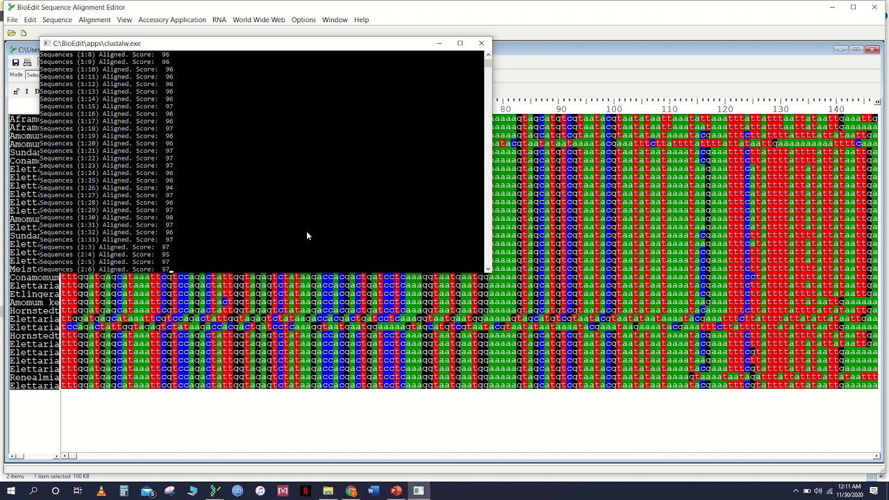 Multiple Sequence Alignment using BioEdit