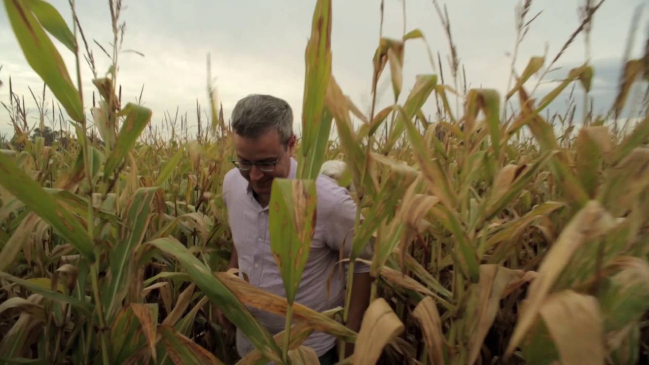 The Ethanol Effect Trailer | The Ethanol Effect