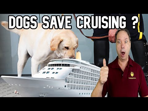 Dogs Could Be Cruise Ships Best Friend