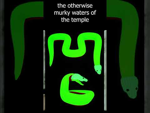 Steam Community :: Video :: Glow-Up Snekko |Temple Of Snek