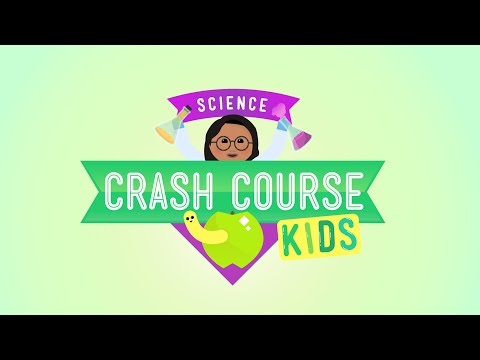 Crash Course Kids Preview!