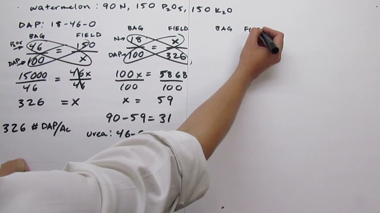 How to Interpret a Soils Test