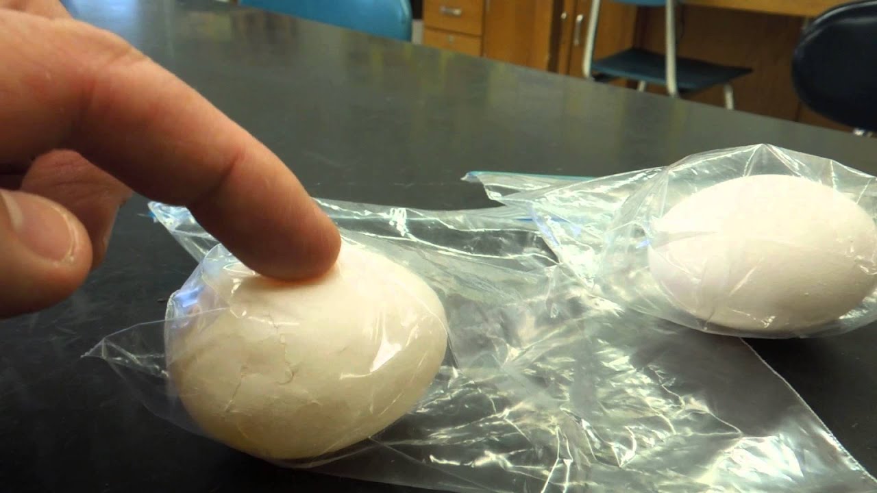 Normal Egg vs. DDT Egg